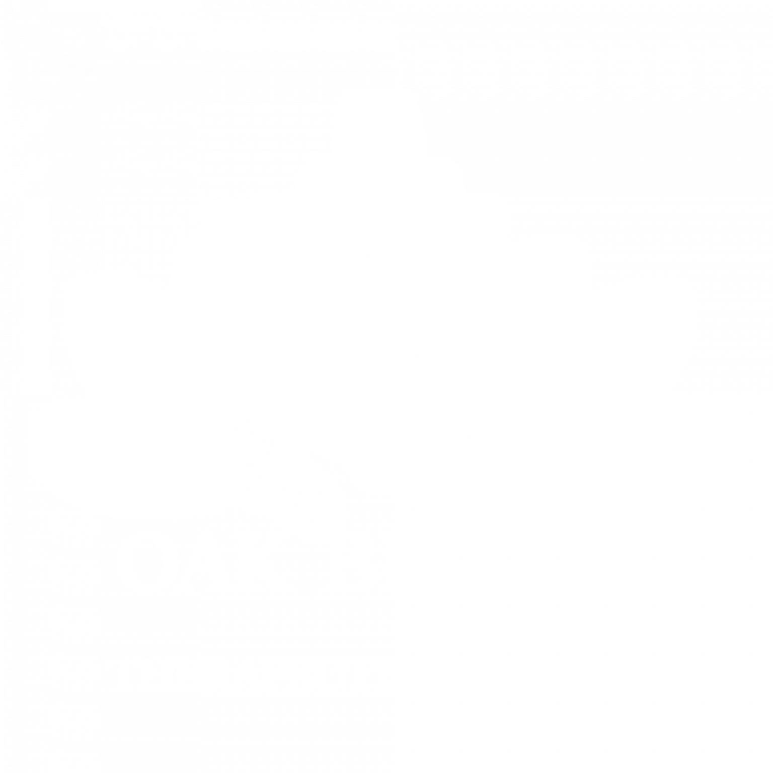 Oakbridge Therapy